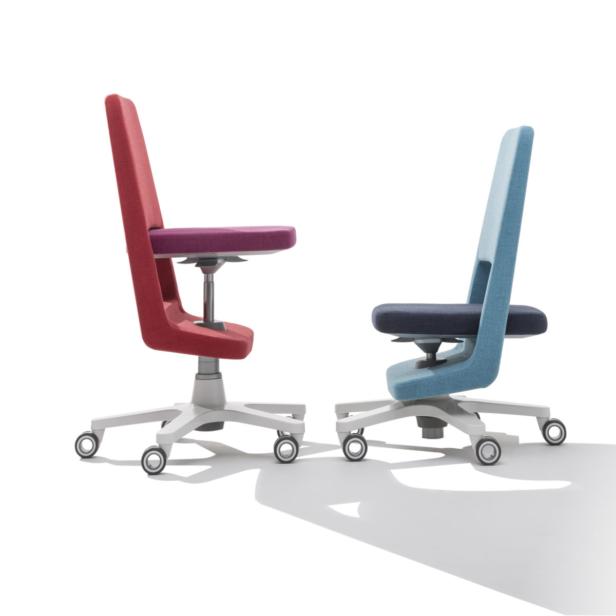 moll S9 order online - moll World Hongkong