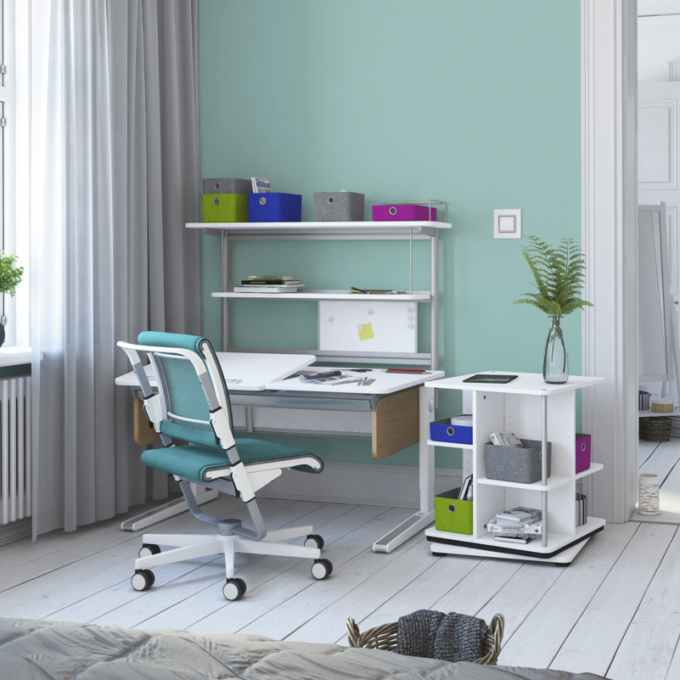 moll Champion – moll World Hongkong